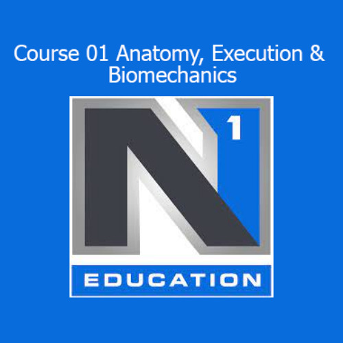 Stream Download N1 Education - Course 01 Anatomy, Execution ...