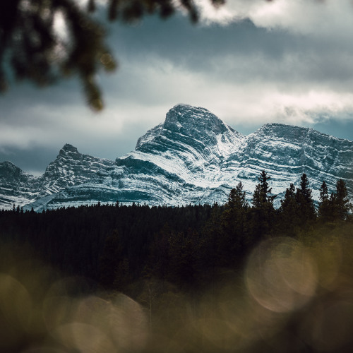 Stream FESTIVAL MINI MIX VOL 3 by Sauer Patch Kid | Listen online for ...