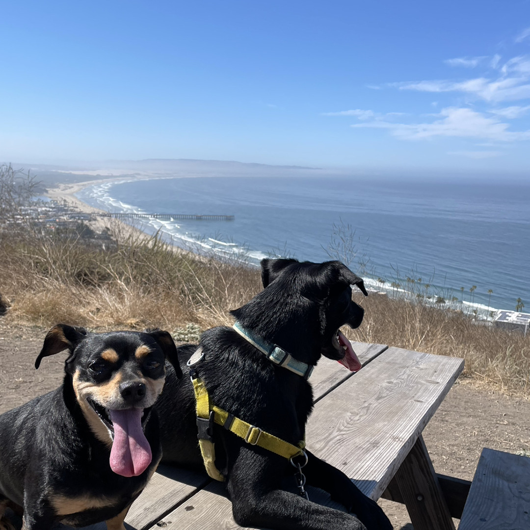 Stream Rickter Marr - Central Coast California (RAW) by Rick Marr ...