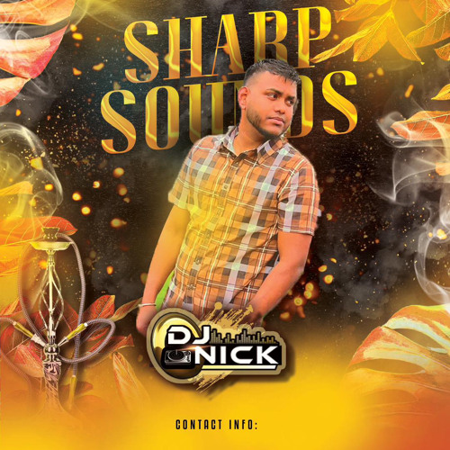 Stream BollyWood Mix DJ NICK 2024 by DJ NICK 🇬🇾🇺🇲 | Listen online for ...