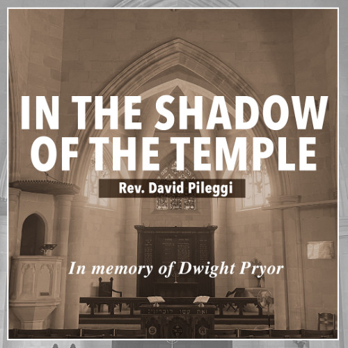 Listen to music albums featuring In the Shadow of the Temple - In ...