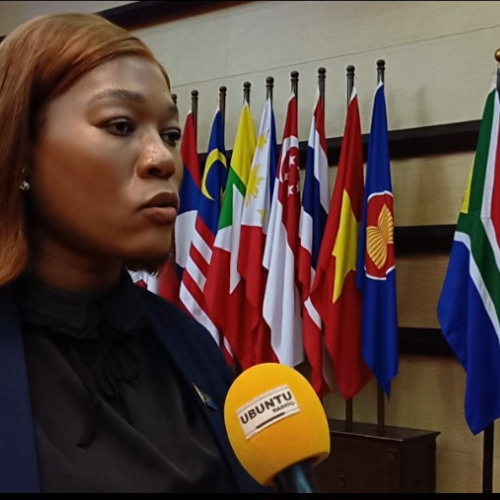 Stream Wrap up interview with Deputy Minister Thandi Moraka in Jakarta ...