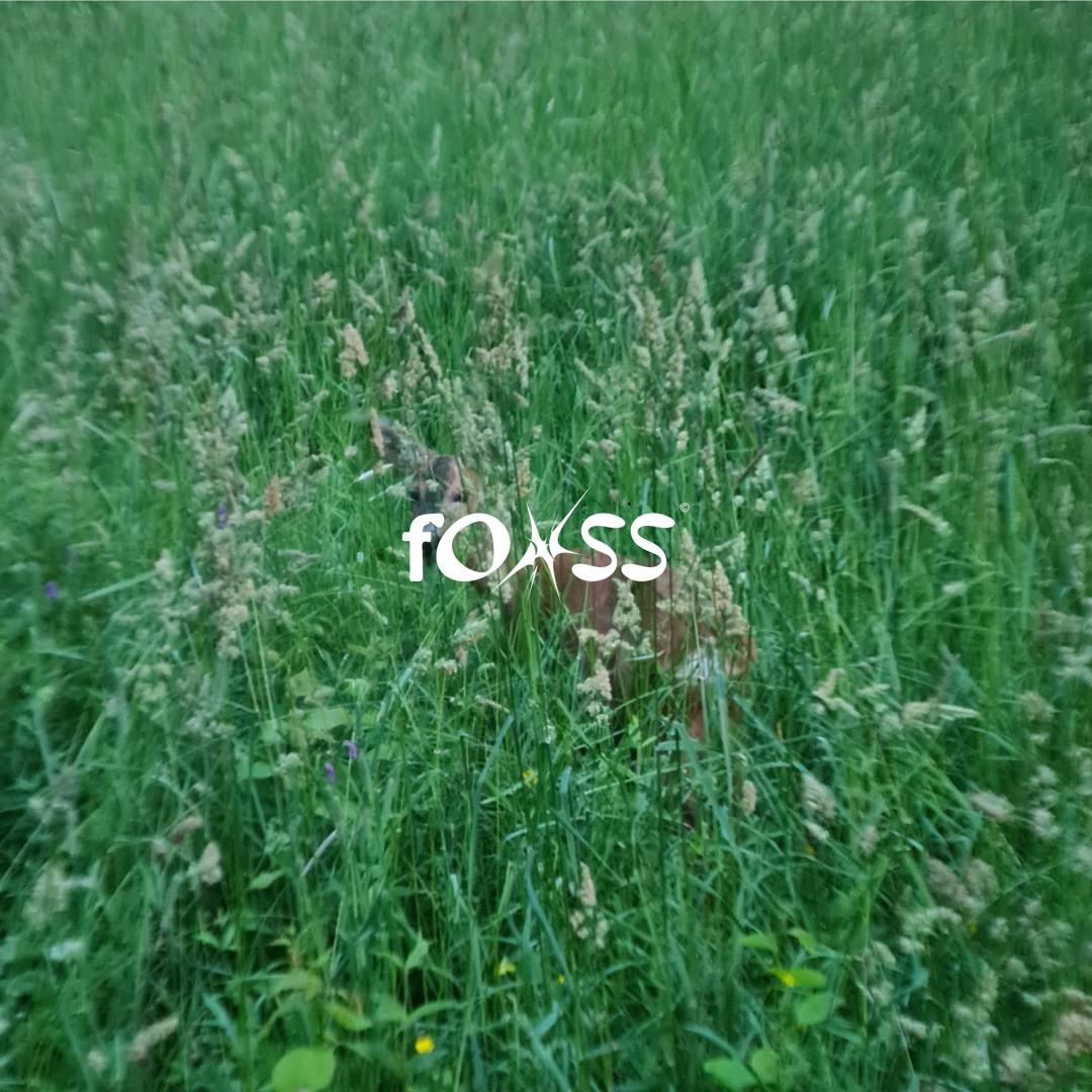 Stream Vantage by Fonss | Listen online for free on SoundCloud