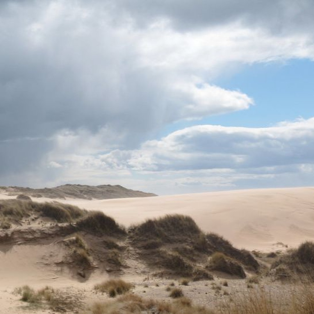 Stream Coastal Knowledge | Listen to Forvie NNR playlist online for ...