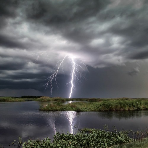 Stream [COVER] Zaho de Sagazan - La Symphonie Des Eclairs by ♫ Jean ...