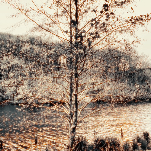 Stream Lost phone by DJ Falafel | Listen online for free on SoundCloud