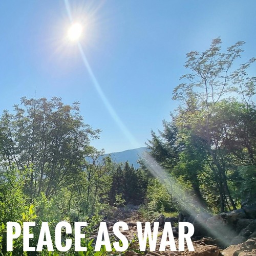 Stream Roberto Alfieri | Listen to Peace as war playlist online for free on SoundCloud