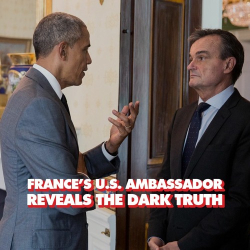 Stream French ambassador: US 'rules-based order' means Western ...