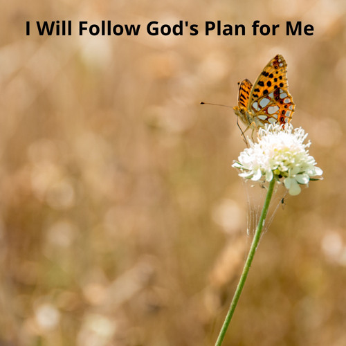 Stream I Will Follow God's Plan for Me by LDS Primary Songs | Listen ...