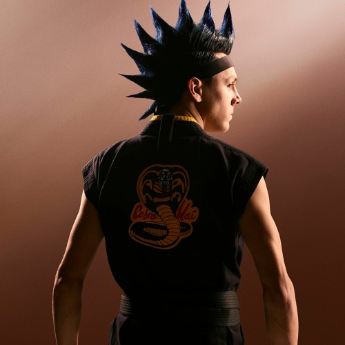 Stream Cobra Kai Soundtrack Hawk s Theme Quiver By Karel55 FDEZ Stream Cobra Kai Soundtrack Hawk s Theme Quiver By Karel55 FDEZ