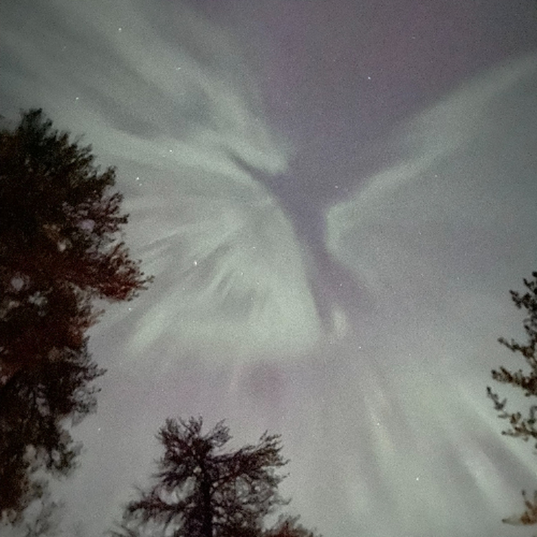 Stream 10xide | Listen to Sunset Flip playlist online for free on ...