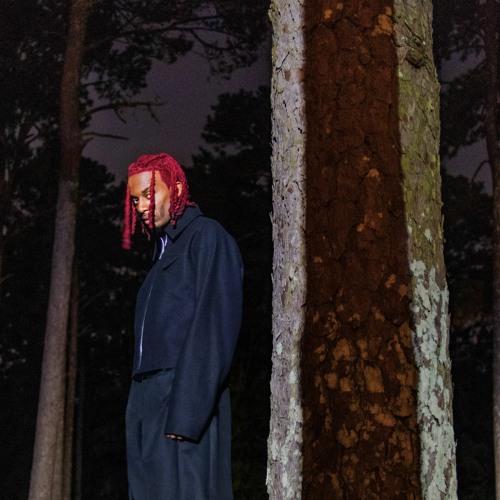 Stream Playboi Carti - Punk Monk (Slowed) by dj carle | Listen online ...