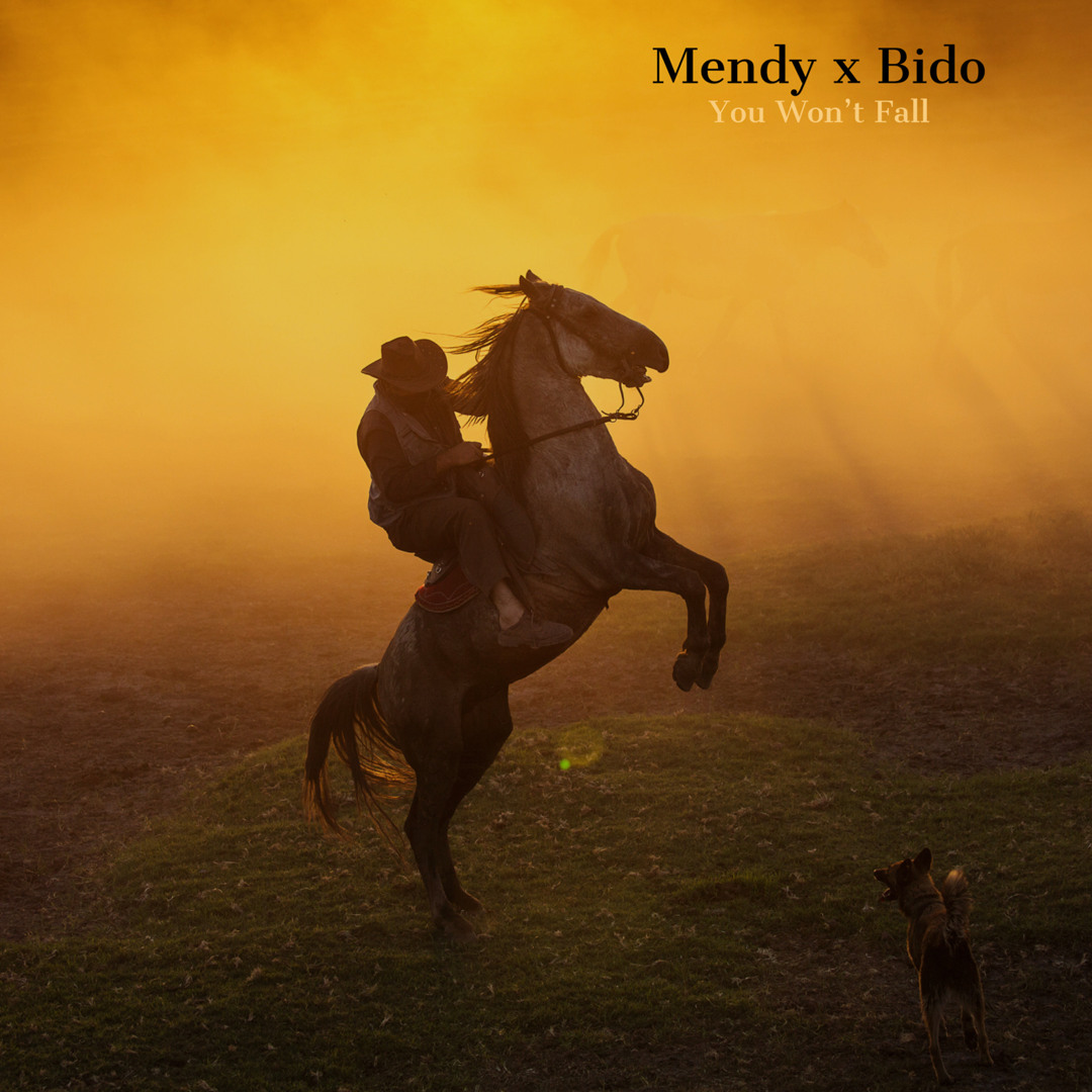 Stream Mendy x Bido - You Won’t Fall by DC Music_Love | Listen online ...