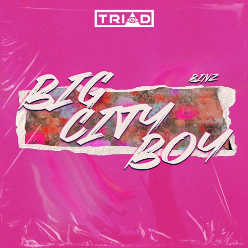 Stream BINZ - BIG CITY BOY | TRIAD REMIX by TRIAD OFFICIAL | Listen ...