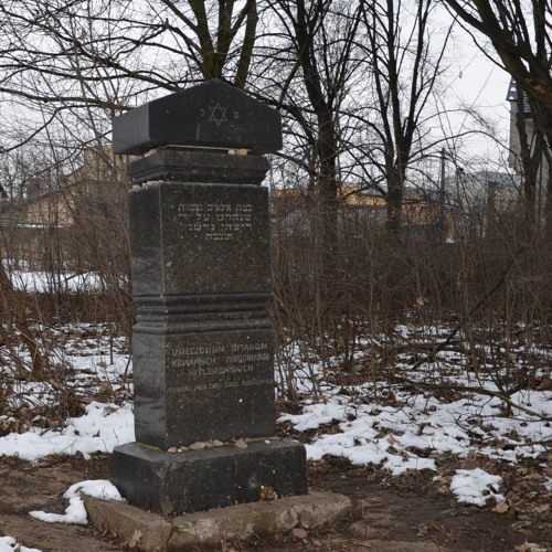 Stream Międzynarodowy Dzień Pamięci o Ofiarach Holocaustu - dr ...