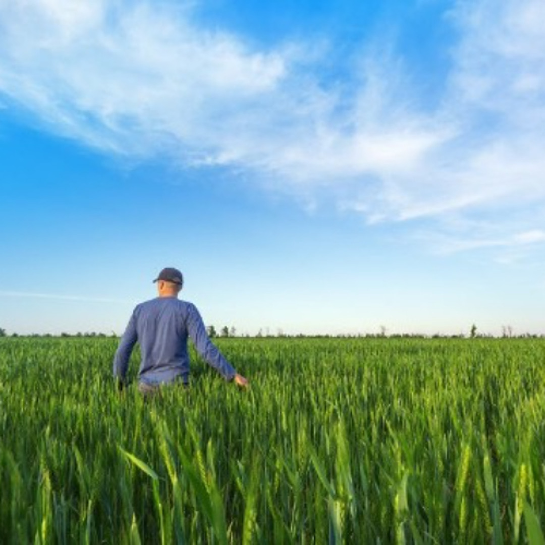 Stream “Future Proof Your Farm” at Crossroads Crop Conference 2025 by ...