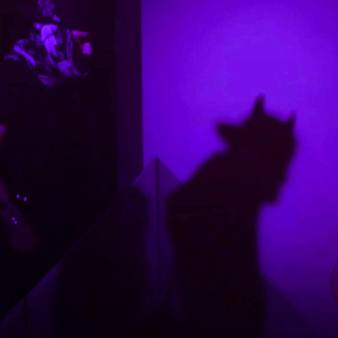 Stream D.I.E - Yeat x Gwallahs (prod. trgc) by rxcklss | Listen online ...