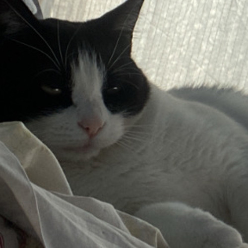 Stream Ivan Greco - R6 by Filippos Krik | Listen online for free on ...