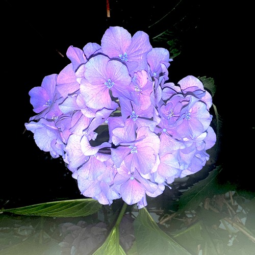 Stream NEWJEANS - NEW JEANS ༢ MAUVE DECADE REMIX ༉‧₊˚.⋆｡° by mauve ...