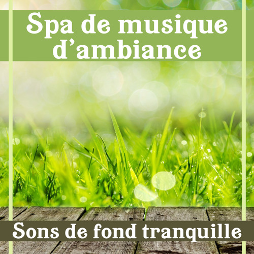 Stream Accueil spa by Bien-être Spa Musique Collection | Listen online ...