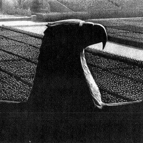 Stream Erika - Herms Neil ( 卐 Germany marching song ) by Ahad | Listen ...