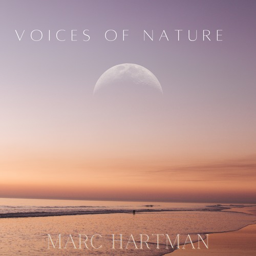 Stream Bermuda Triangle by Marc Hartman | Listen online for free on ...