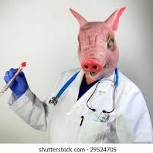 Stream Doktor Oink Offiziell-by-prim by Doktor Oink Offiziell | Listen ...