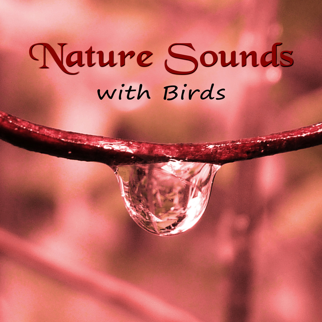 Stream Nature Sounds Paradise | Listen to Nature Sounds with Birds ...