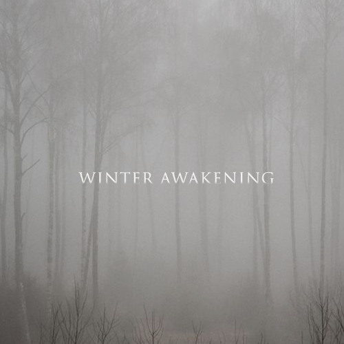 Stream WINTER AWAKENING - A SOUND JOURNEY by ASHLEY HUEMAN | Listen ...