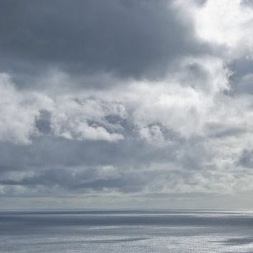 Stream Miho Sasaki : SILVER GENTLE (2015) by Michael Schelle | Listen ...