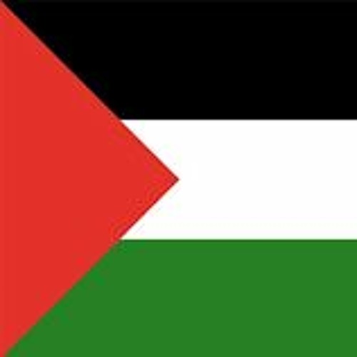 Stream PALESTINE WILL BE FREE by Mark Anella | Listen online for free ...