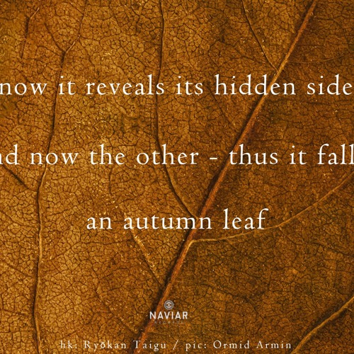Stream Naviar Records | Listen to haiku #506: now it reveals its hidden ...