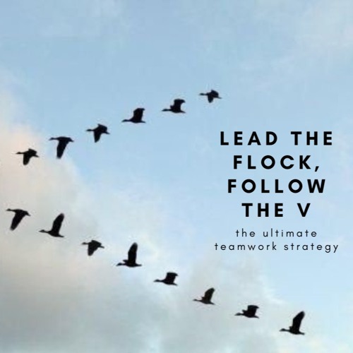 Stream episode Lead the flock, follow the V: the ultimate teamwork ...