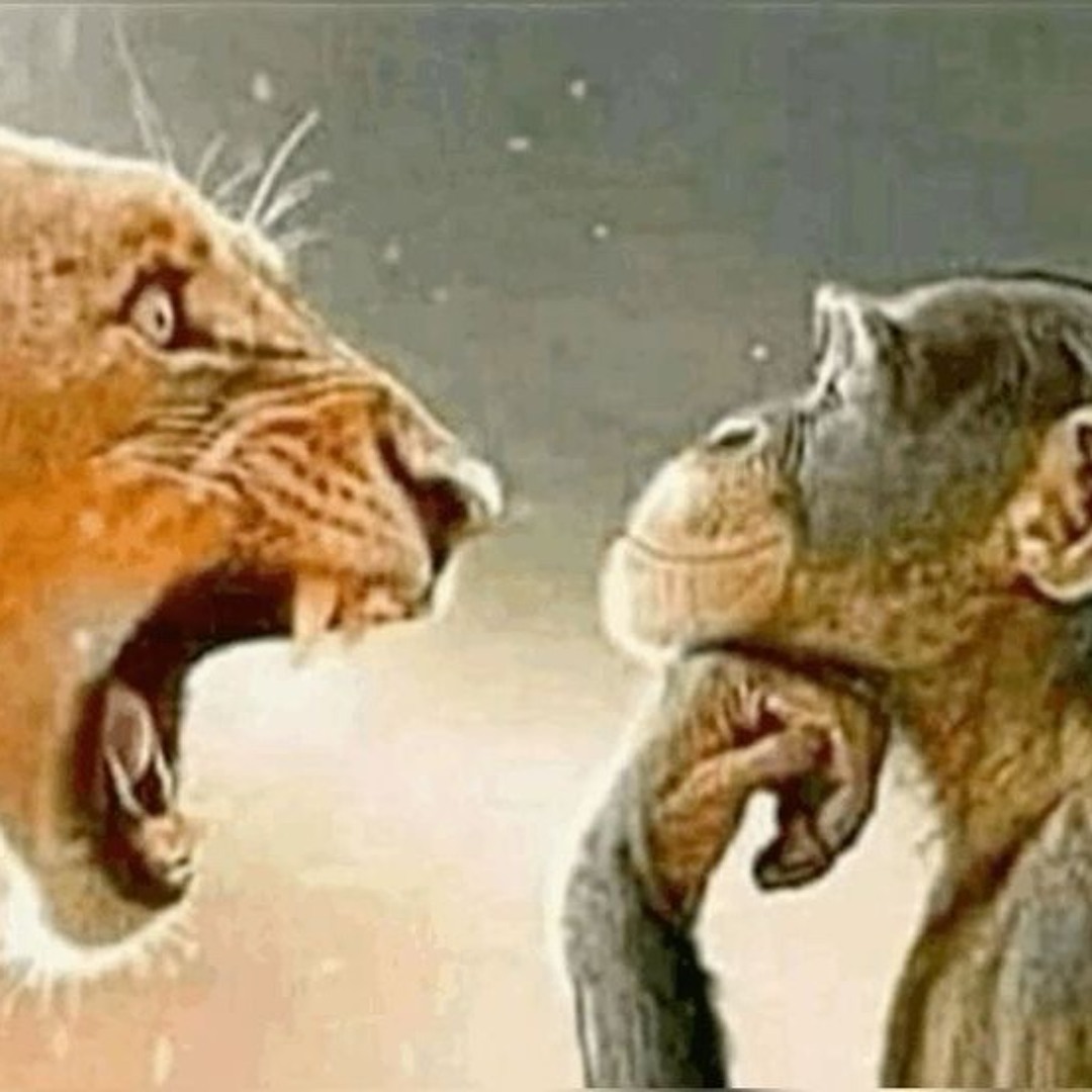 Stream monkey see monkey do - knieyn by jasuminotww | Listen online for free on SoundCloud