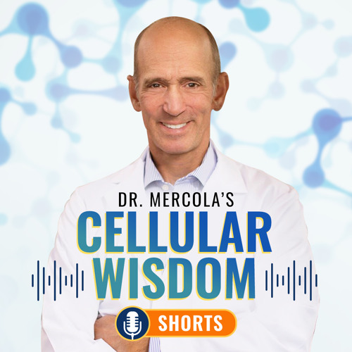 Stream Vitamin D: The Unexpected Key to Healing Wounds by Dr. Joseph ... Stream Vitamin D: The Unexpected Key to Healing Wounds by Dr. Joseph ...