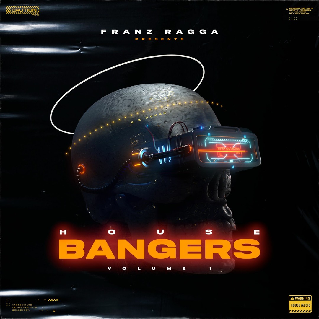 Stream HOUSE BANGERS VOL 1 (New Mashup Pack 2023) - BY FRANZ RAGGA by ...