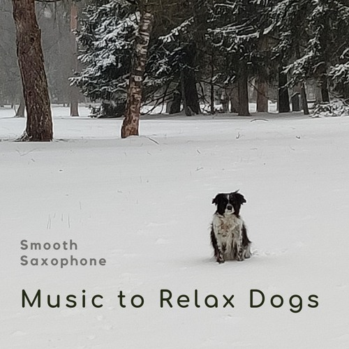 Stream Mickey the Dog and His Saxophone by Music to Relax Dogs | Listen ...