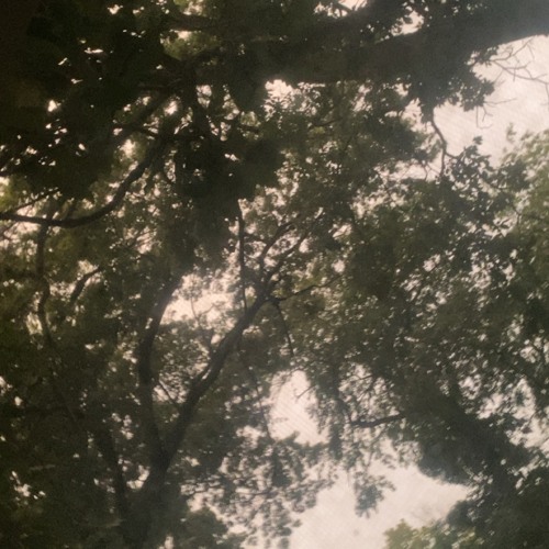 Stream invisible | Listen to prod me playlist online for free on SoundCloud