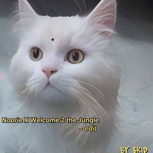 pumpyoursound.com | Fanlink - Noorie X Welcome 2 the Jungle (SKID EDIT)