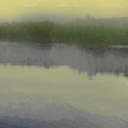 Stream Rise Of The Sapling by Forest Awoken | Listen online for free on ...