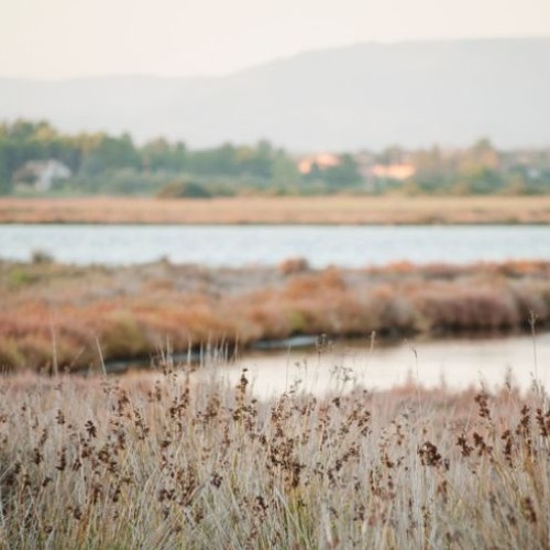 Stream Hawawa - Footsteps Of The Future (Sven Noon Remix) by Sven Noon ...