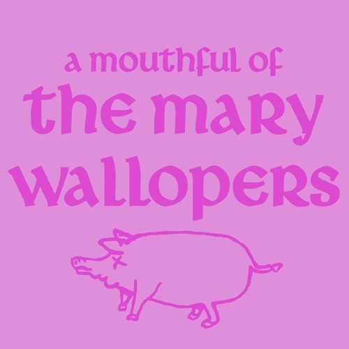 Stream As I Roved Out by The Mary Wallopers | Listen online for free on ...
