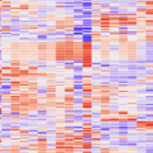 Stream episode MitoBrainMap - Human Brain Map of Mitochondrial ...