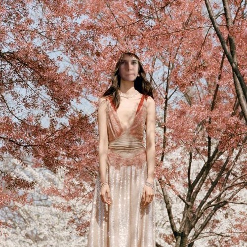 Stream Orange and Blackberries by heather lynn mulloy | Listen online ...