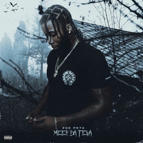 Stream ZOE PETA - MEET DA FEVA by DUSTY LOCANE | Listen online for free ...