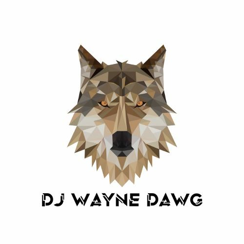 Stream How We Roll - Chris Brown Ft Ciara [DJ Wayne Dawg AfroChill ...