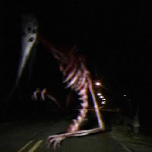 Stream Roadkill - Cryptid Night Funkin (Official Ost) by Crow | Listen ...