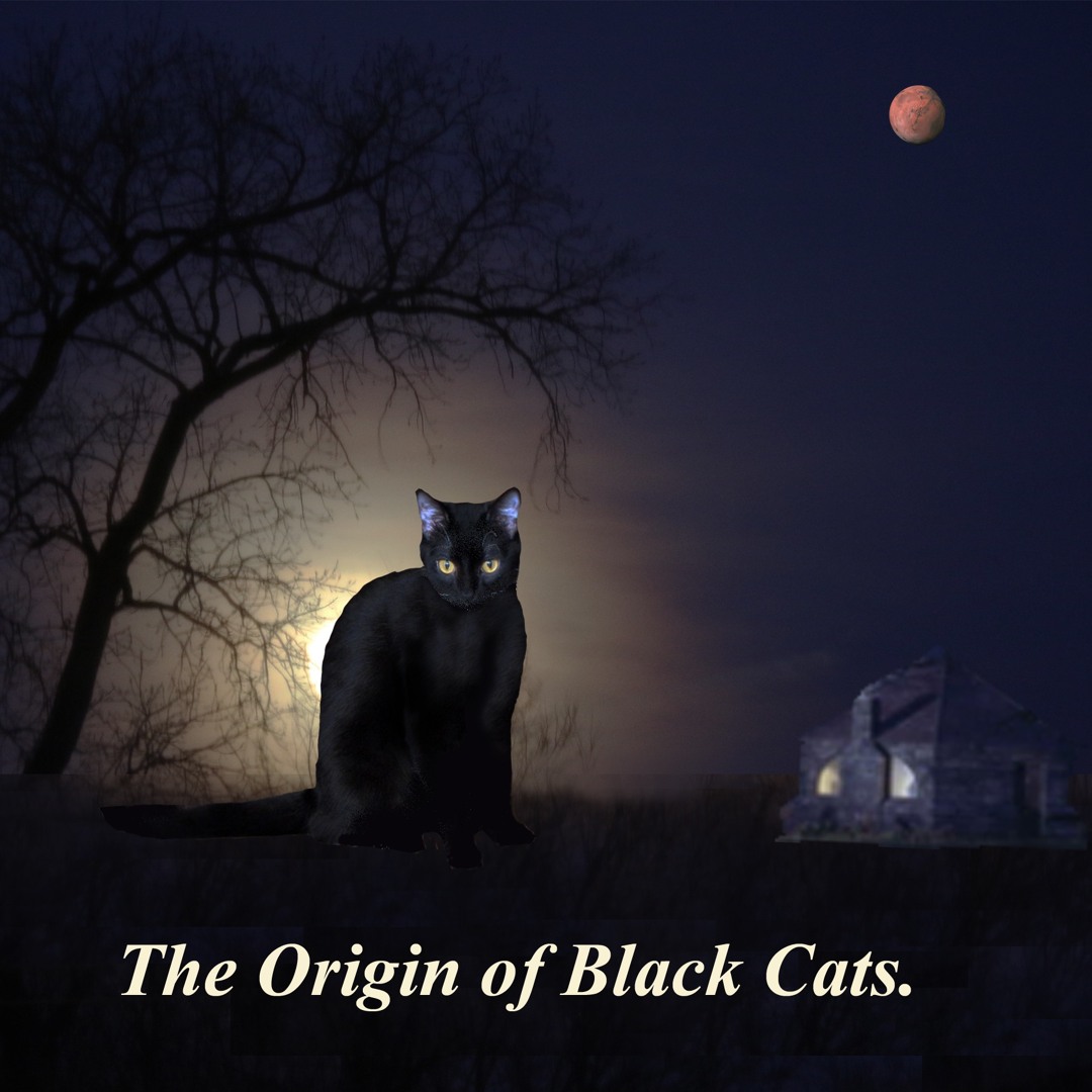 Stream episode The Origin Of Black Cats by Ken Oguss, Storytelling ...