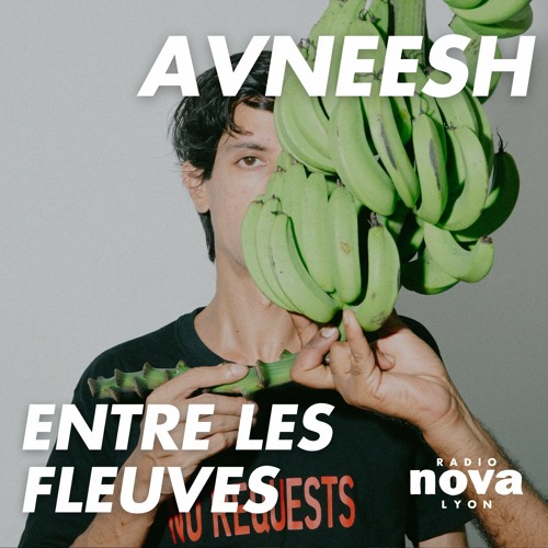 Stream Avneesh - Entre Les Fleuves • DEC23 • NOVA Lyon by Avneesh ...