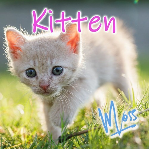 Stream Kitten SAMPLE by Moss (Muso) | Listen online for free on SoundCloud